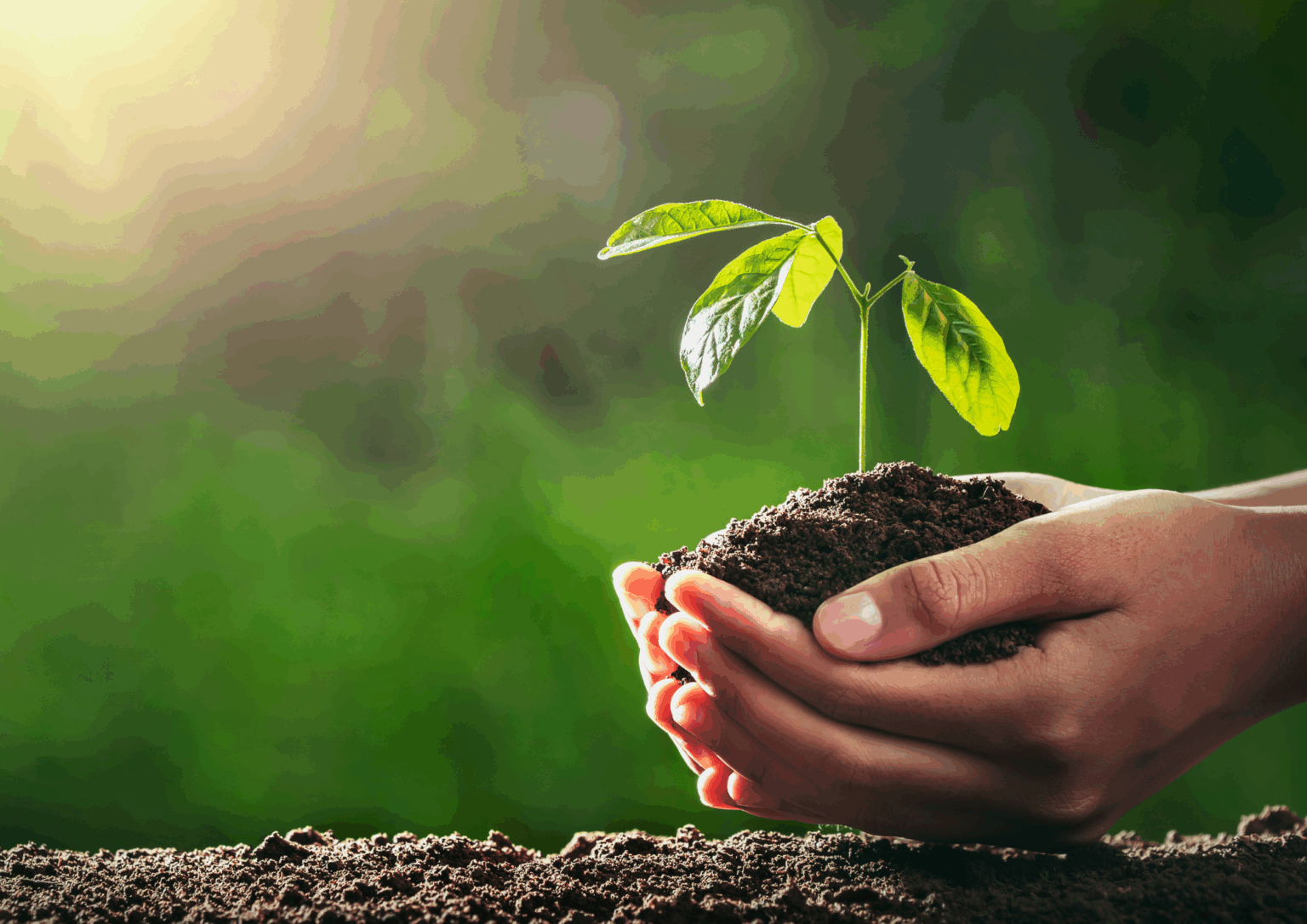 Turning Toxins into Treasure: The Power of Soil Remediation - TAS ...